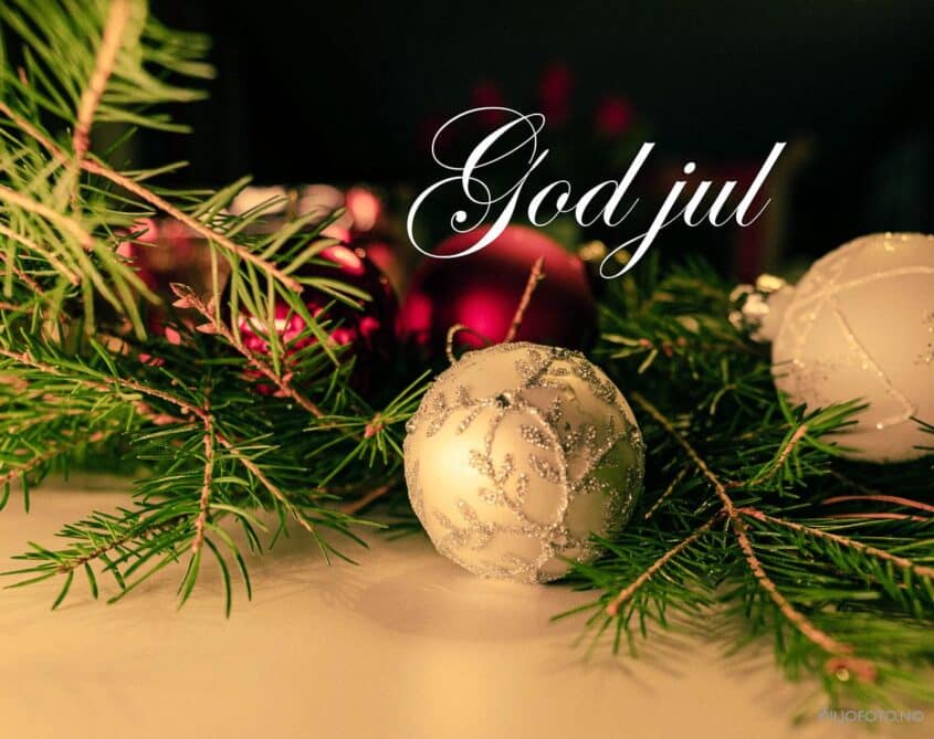 JULEBREV FRA LEDER | Norsk Revmatikerforbund